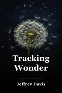 Tracking Wonder book cover