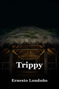 Trippy book cover