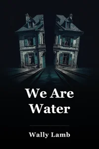 We Are Water book cover