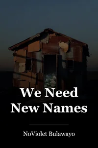 We Need New Names book cover