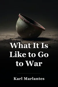 What It Is Like to Go to War book cover