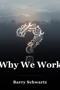 Why We Work book cover