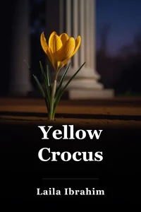 Yellow Crocus book cover