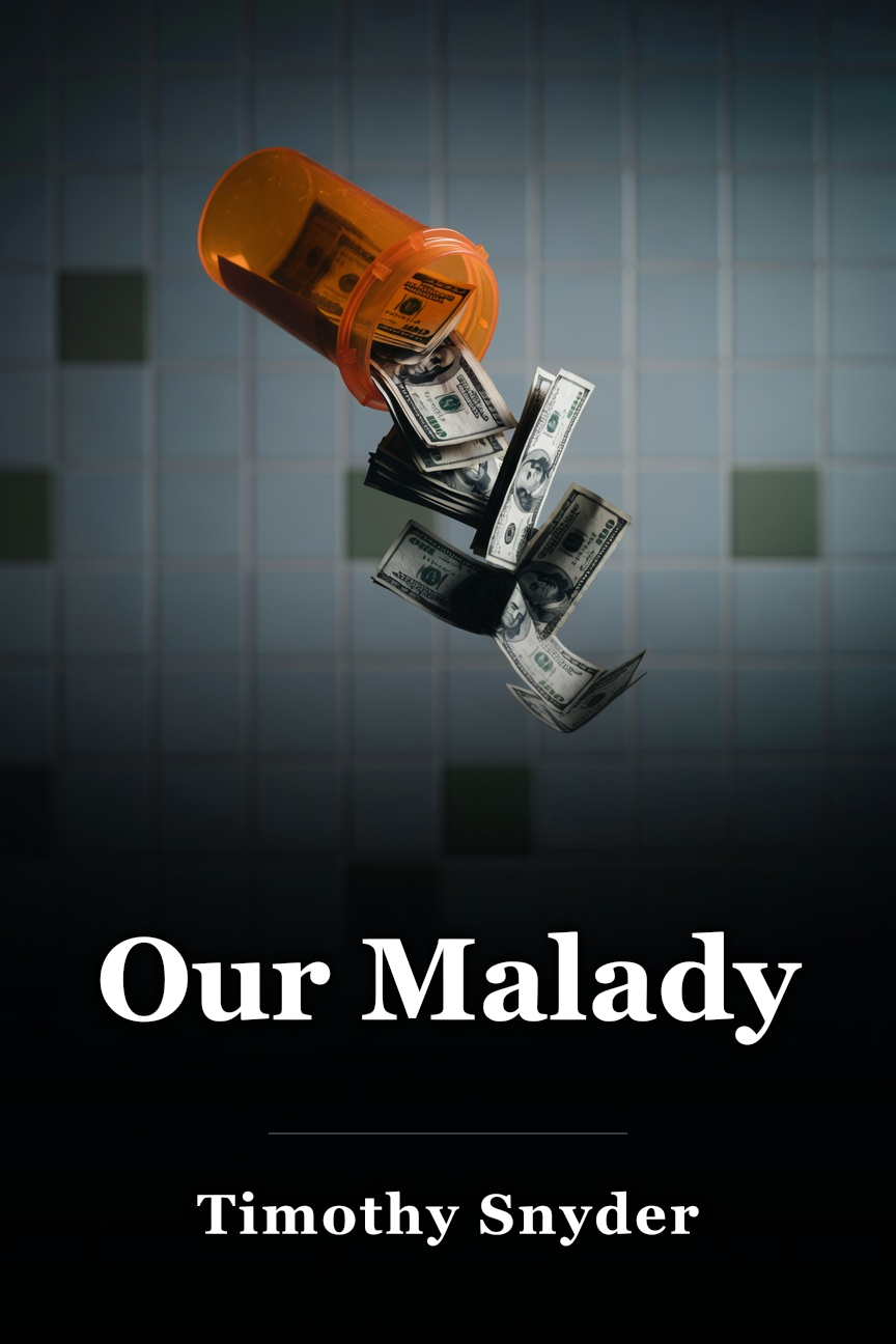 Our Malady book cover