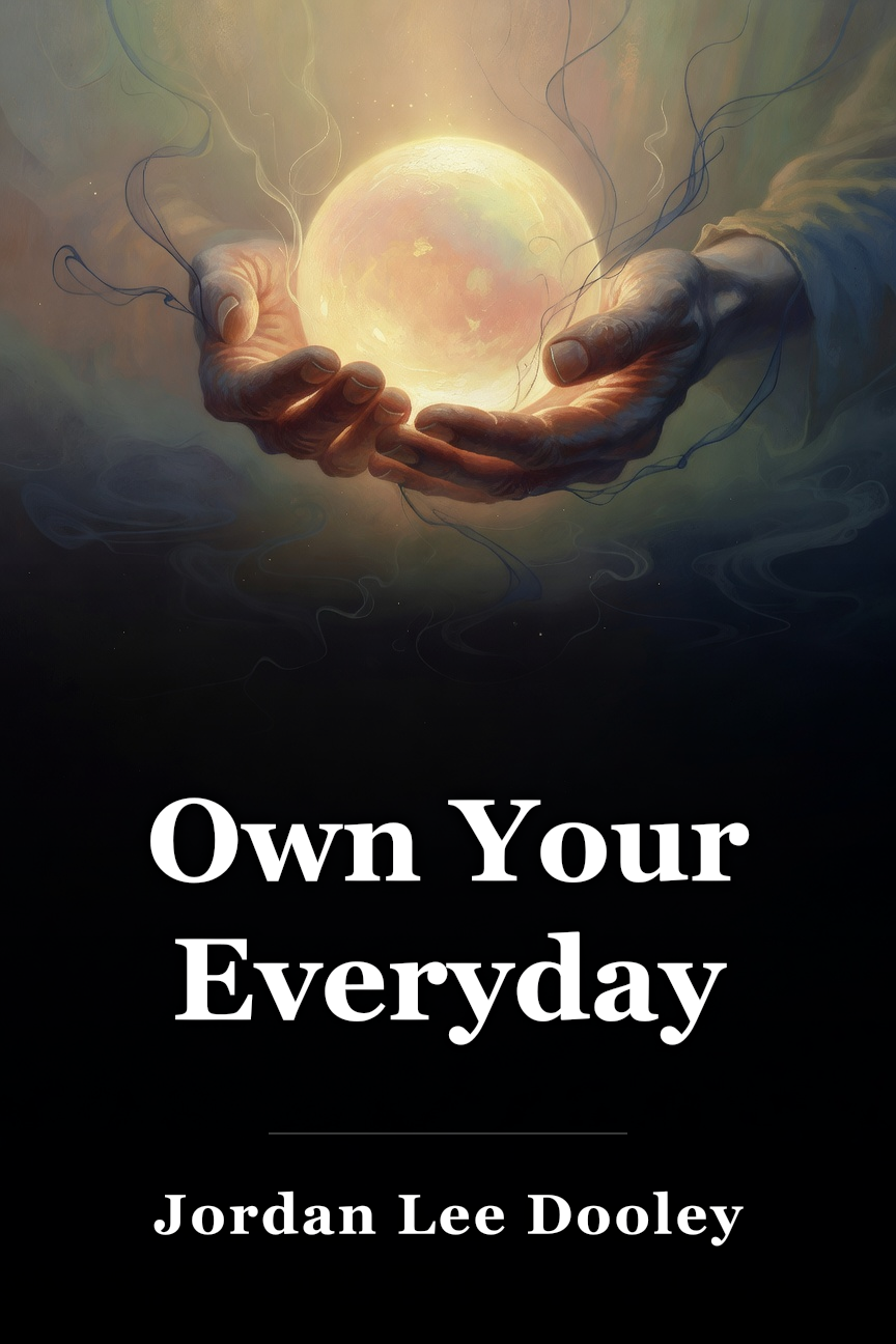 Own Your Everyday book cover