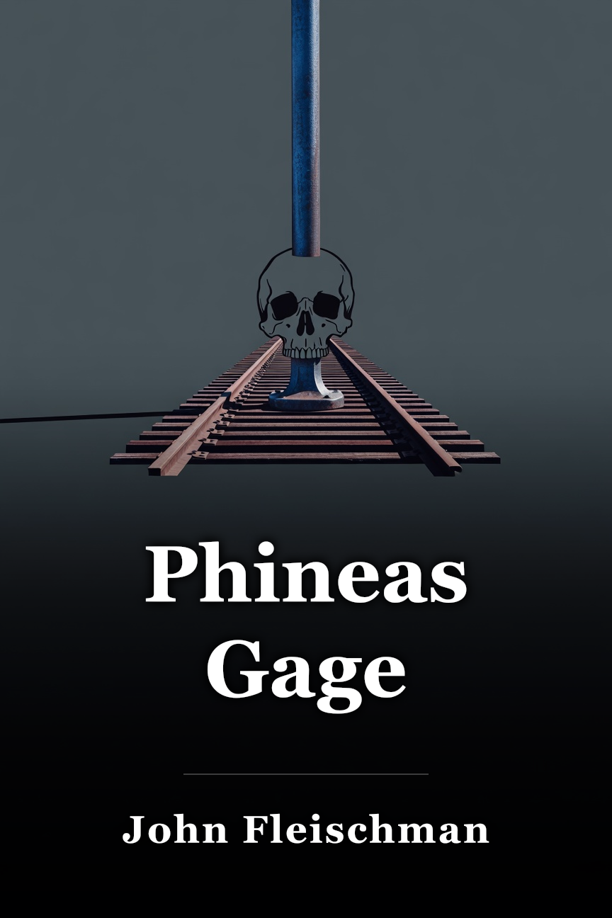 Phineas Gage book cover