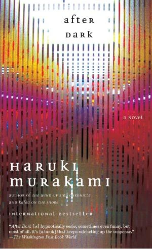 After Dark book cover