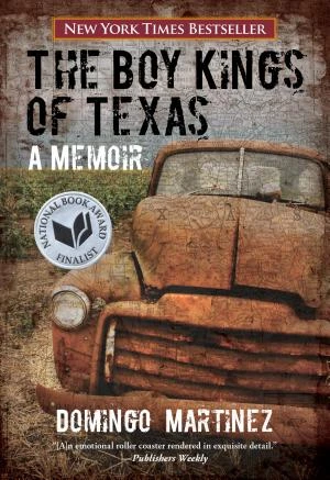 Boy Kings of Texas book cover