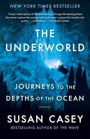 The Underworld book cover