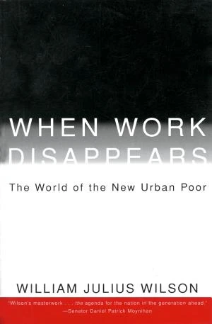 When Work Disappears book cover