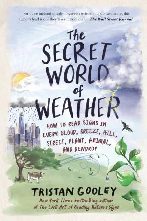 The Secret World of Weather book cover