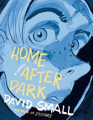 Home After Dark book cover