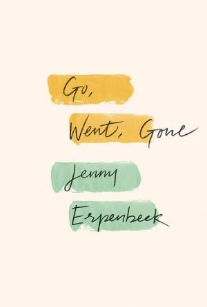 Go, Went, Gone book cover