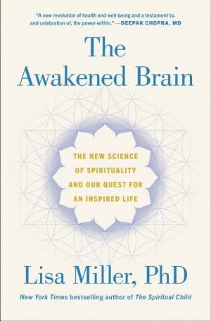 The Awakened Brain book cover