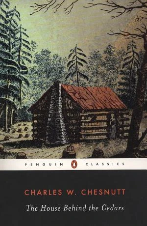 The House Behind the Cedars book cover