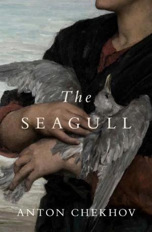The Seagull book cover