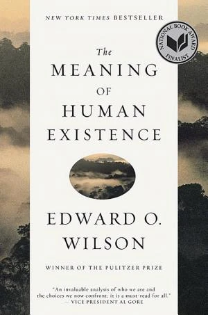 The Meaning of Human Existence book cover