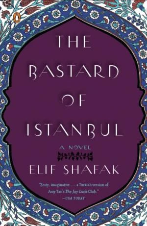 The Bastard of Istanbul book cover