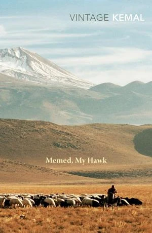 Memed, My Hawk book cover