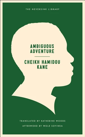 Ambiguous Adventure book cover