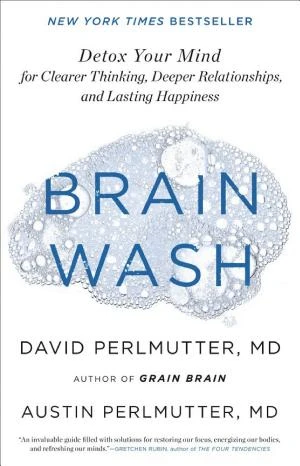 Brain Wash book cover