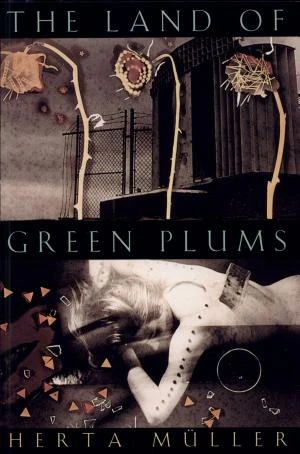 The Land of Green Plums book cover