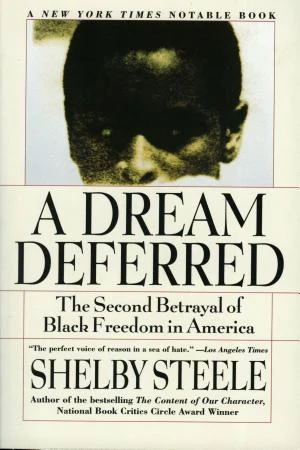 A Dream Deferred book cover