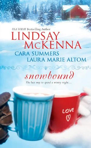 Snowbound book cover