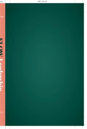 Flow Leadership book cover