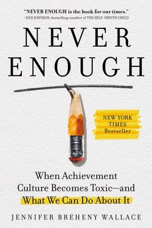 Never Enough book cover