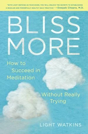 Bliss More book cover