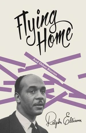 飛回家 book cover