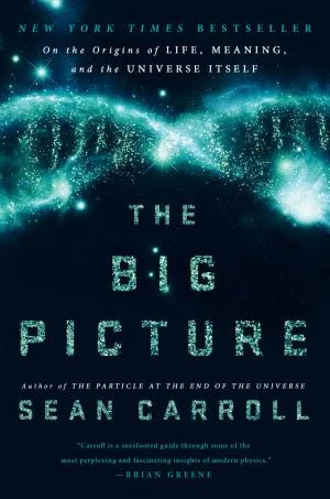 The Big Picture book cover