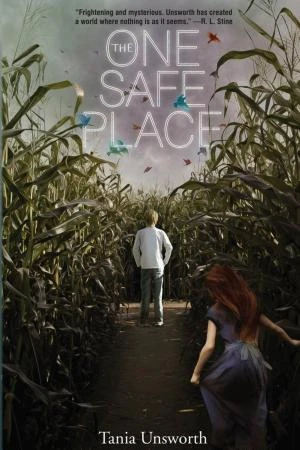 The One Safe Place book cover