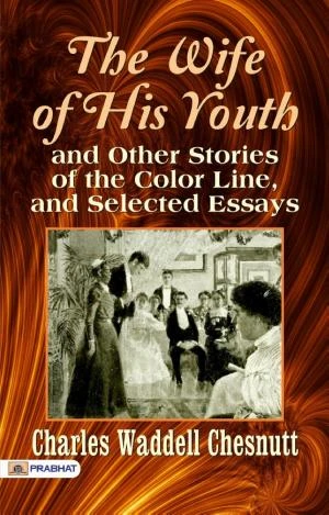 The Wife Of His Youth book cover