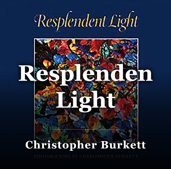 Resplendent Light book cover