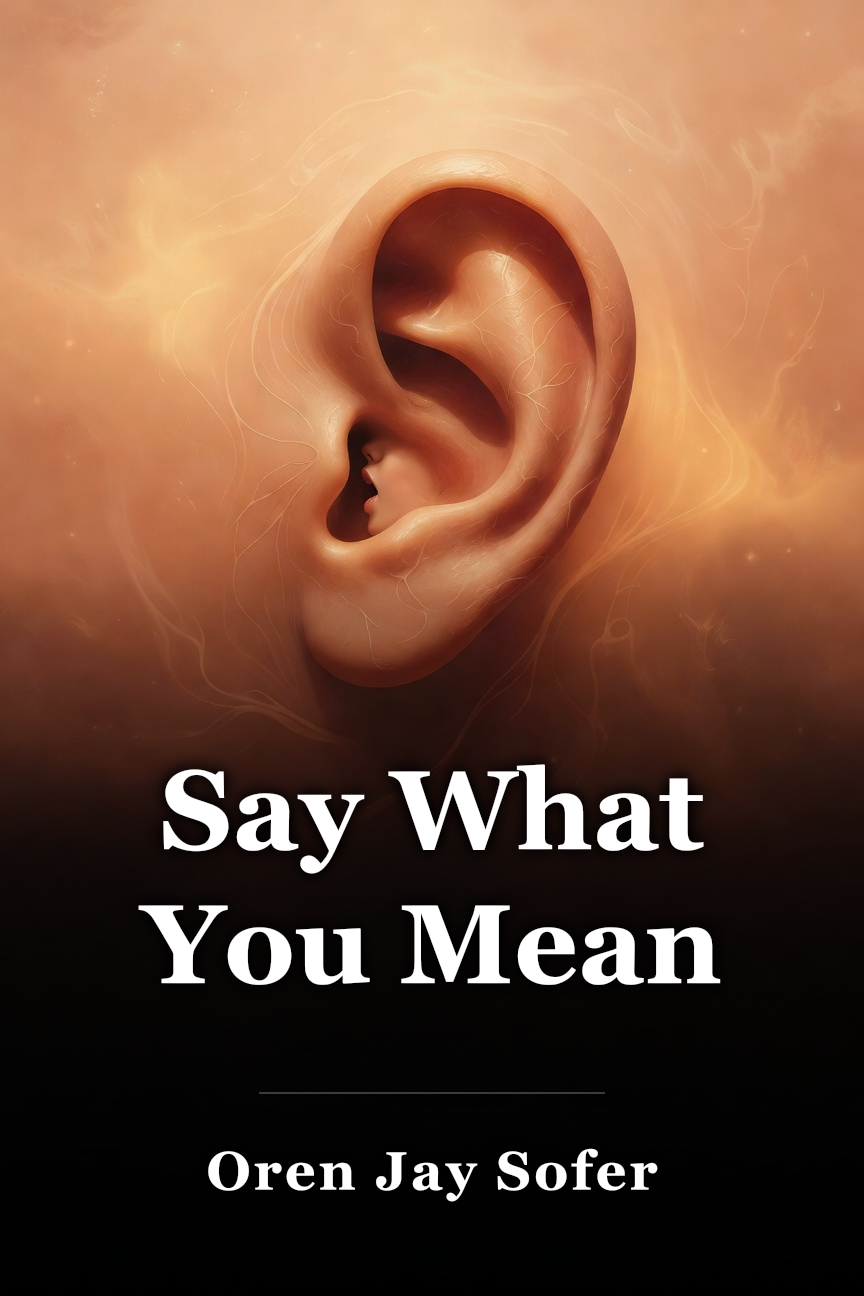 Say What You Mean book cover