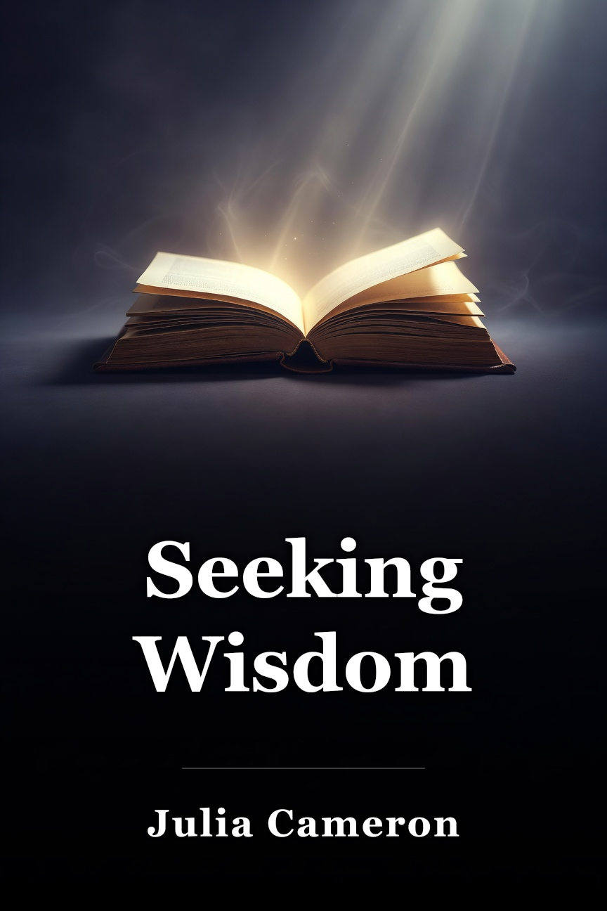 Seeking Wisdom book cover
