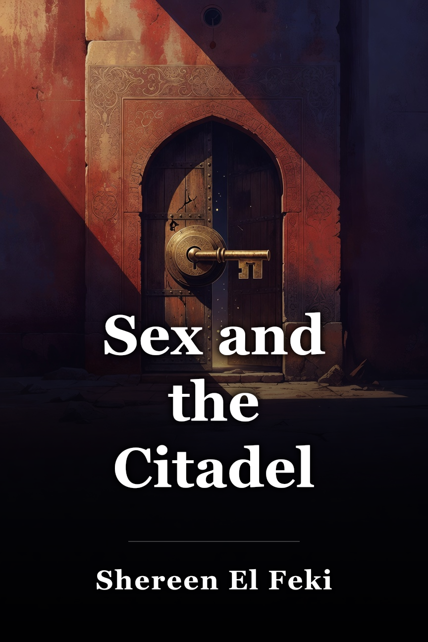 Sex and the Citadel book cover