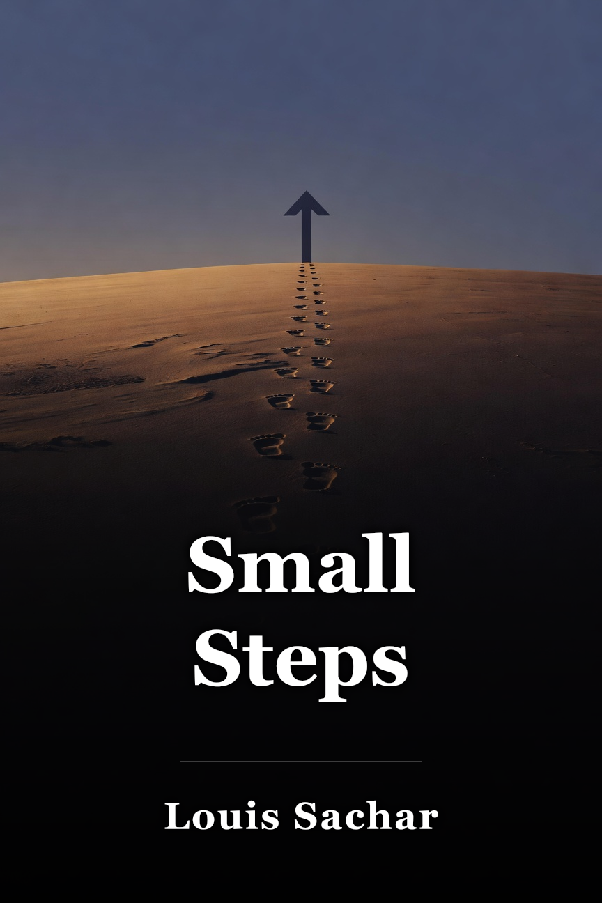 Small Steps book cover