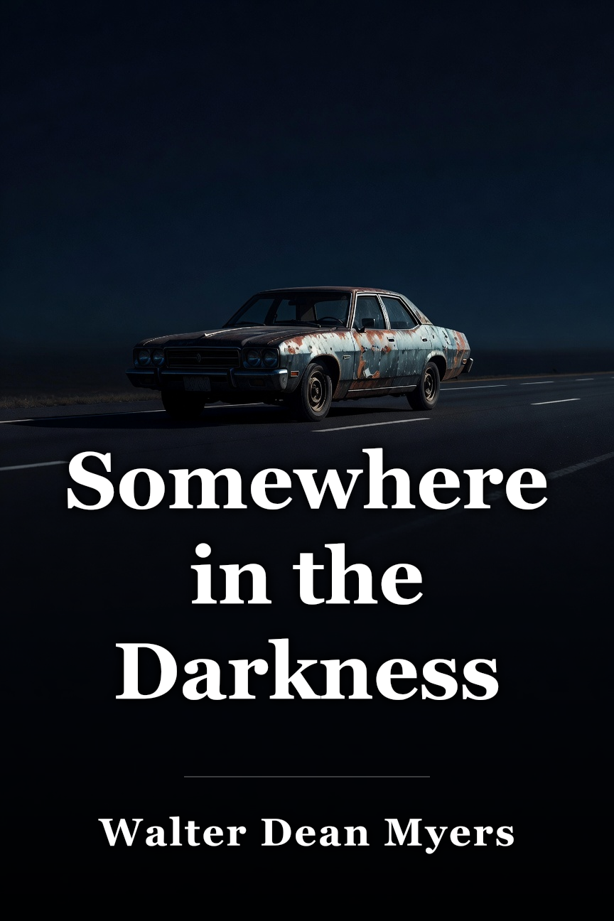 Somewhere in the Darkness book cover
