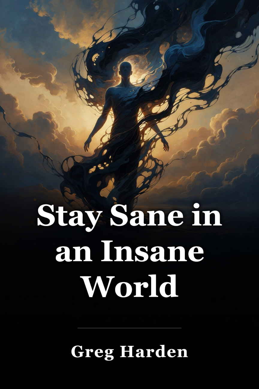 Stay Sane in an Insane World book cover