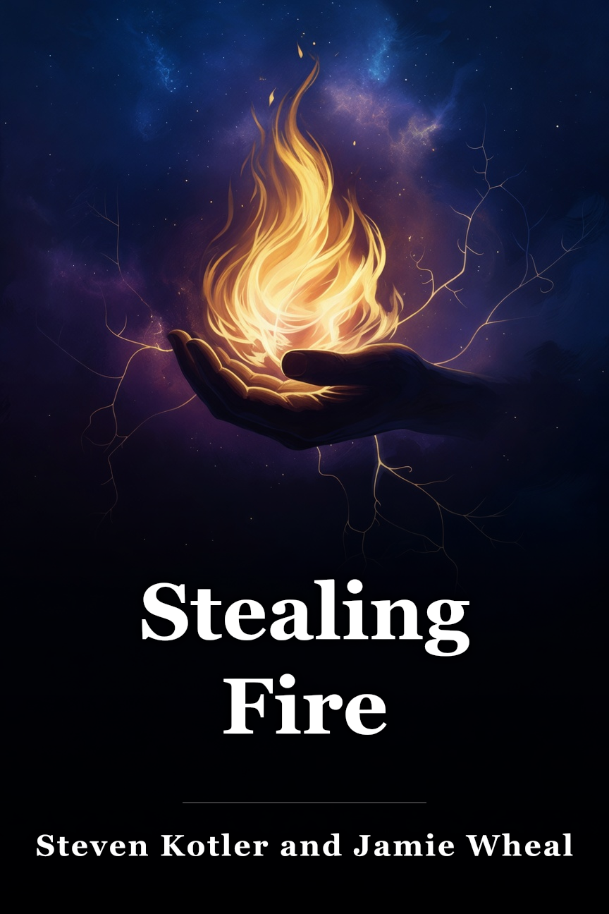 Stealing Fire book cover