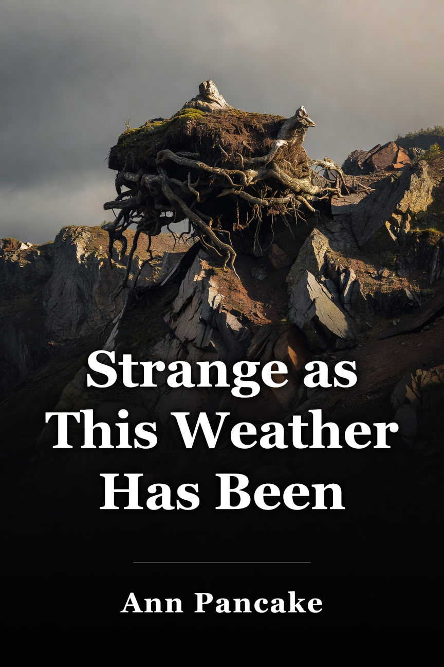 Strange as This Weather Has Been book cover