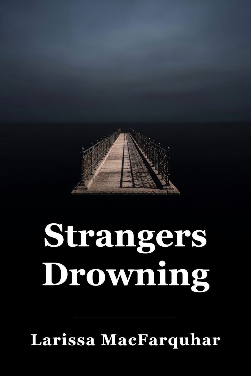 Strangers Drowning book cover