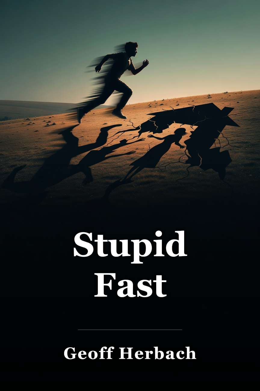 Stupid Fast book cover