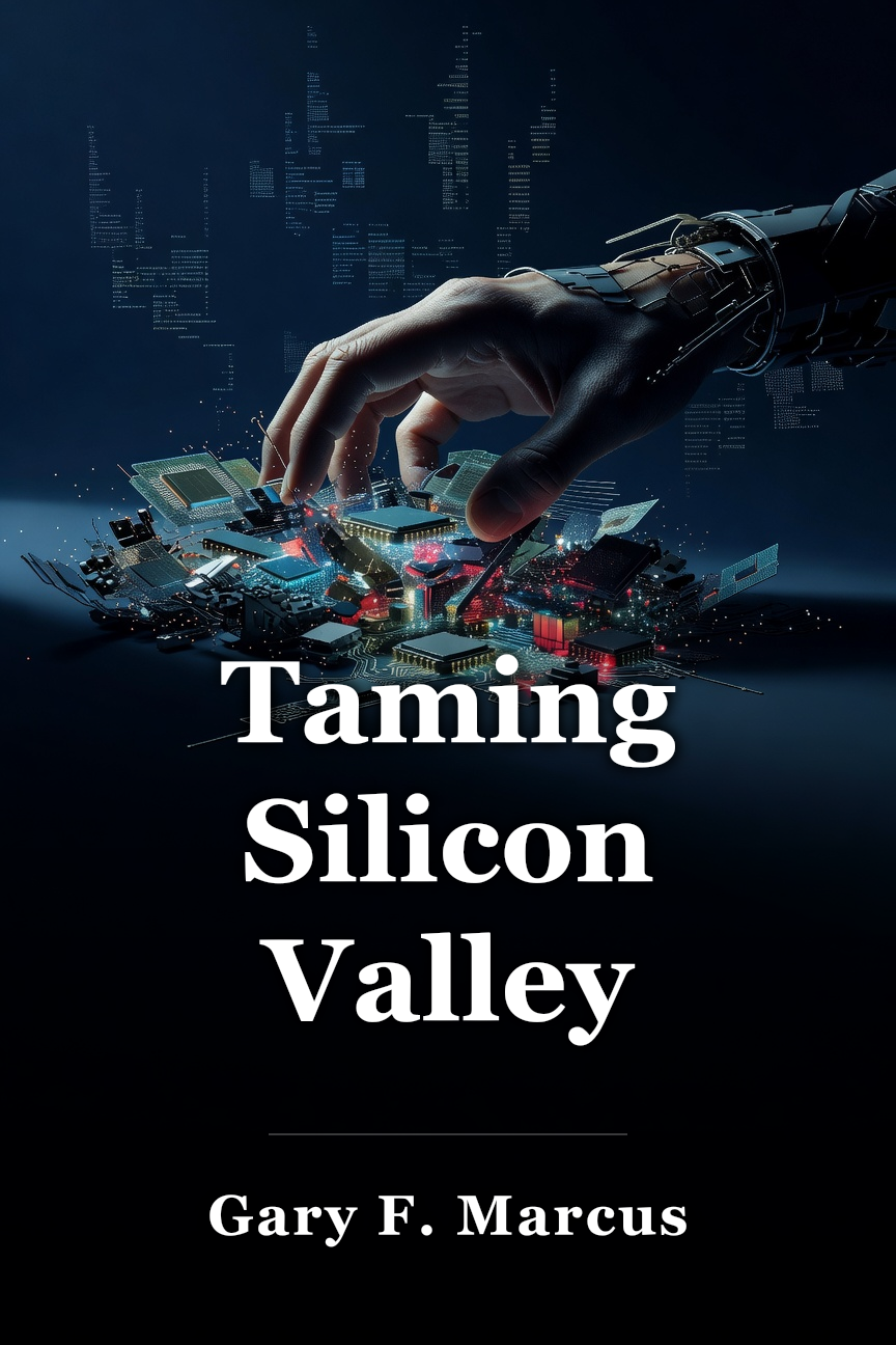 Taming Silicon Valley book cover