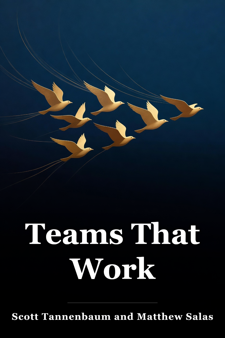 Teams That Work book cover