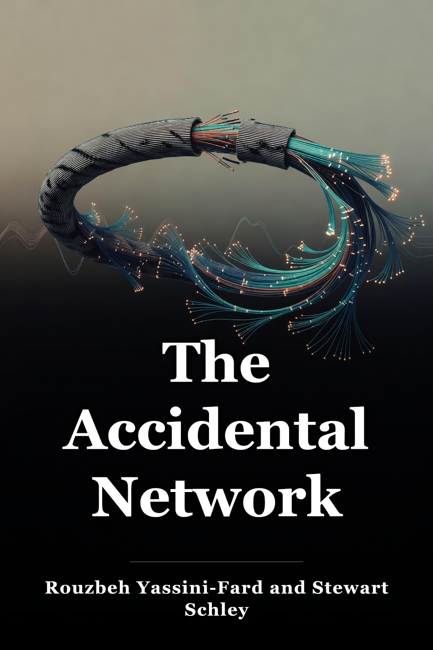 The Accidental Network book cover