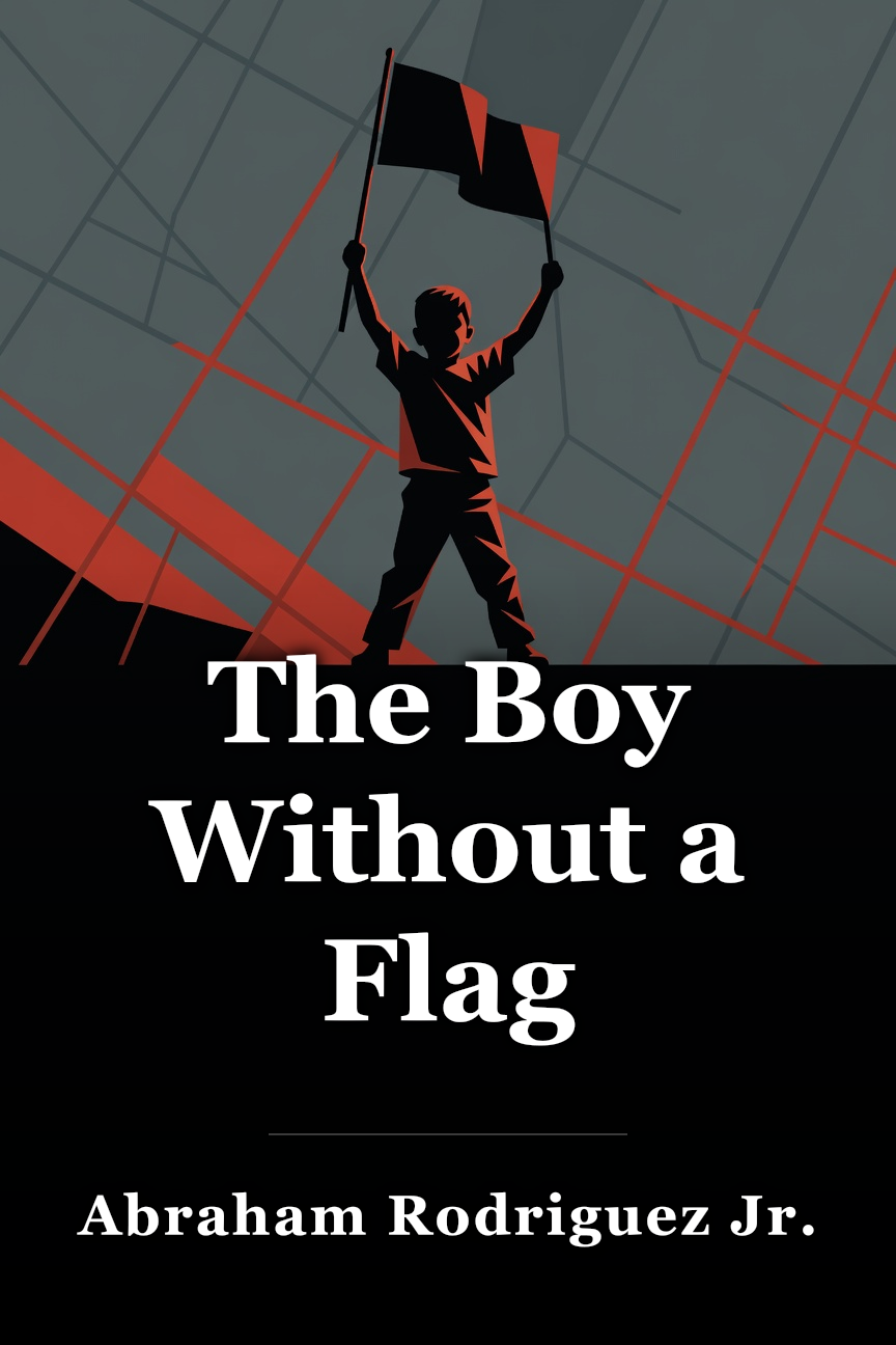 The Boy Without a Flag book cover